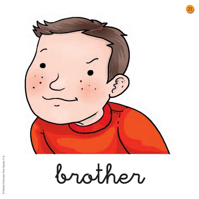 Sc2 u12 flashcards | PDF