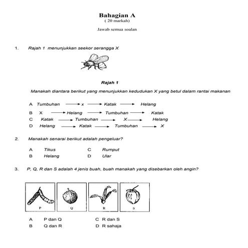 Sc5 pksr2-2015 | PDF