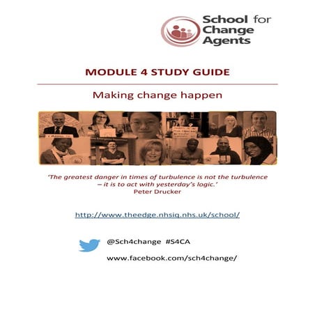 School for Change Agents 2017 Module 4 | PDF