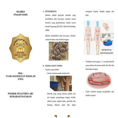 scabies.pdf
