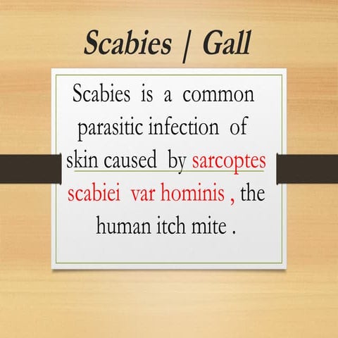 Scabies.pptx. by Azizullah Aziz Abdali af | PPT