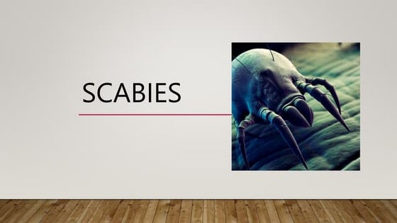 PENYULUHAN_SCABIES.pptx