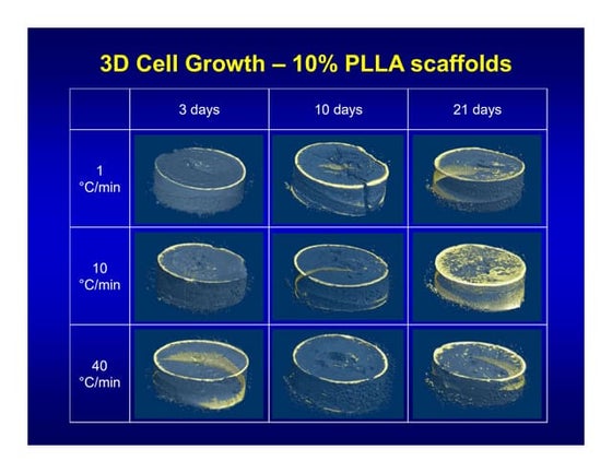 PLLA Scaffold-hASC composites from x-ray scanning uct (7%) | PPT