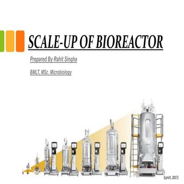 SCALE-UP OF BIOREACTOR.pptx | Chemistry | Science