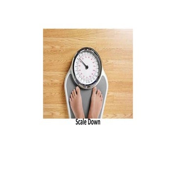 Scale Down - Weight Loss Benefits | Parrish Medical Center | PPT