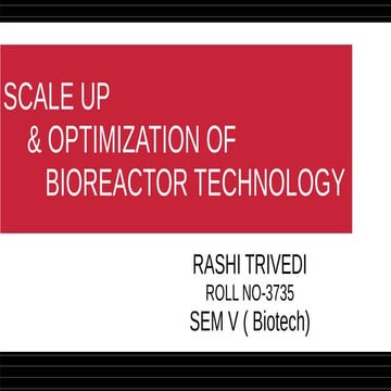 Scale up & Optimization | PDF