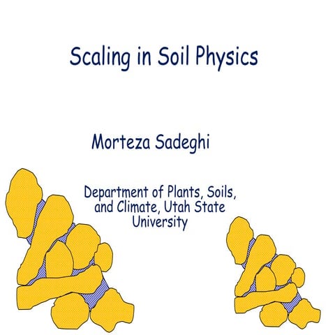 Scaling in Soil Physics | PPTX | Physics | Science