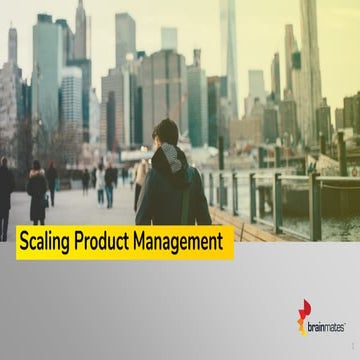 Scaling Product Management | PDF