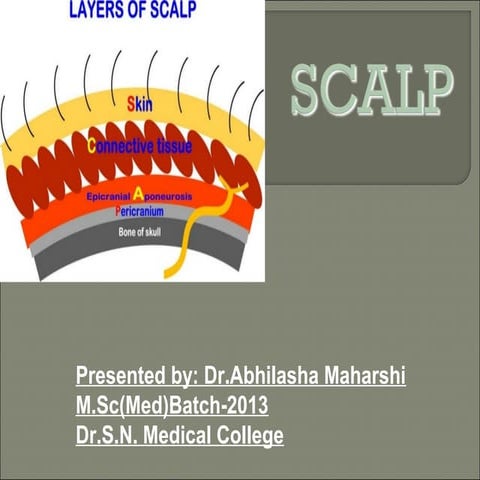 Anatomy of SCALP and its blood and nerve supply.ppt