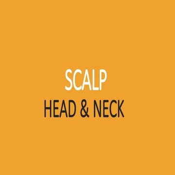 Scalp anatomy for medical students .pptx