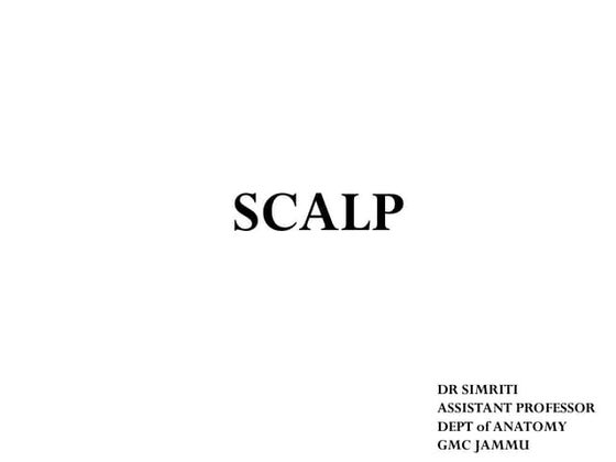 Scalp | PPTX