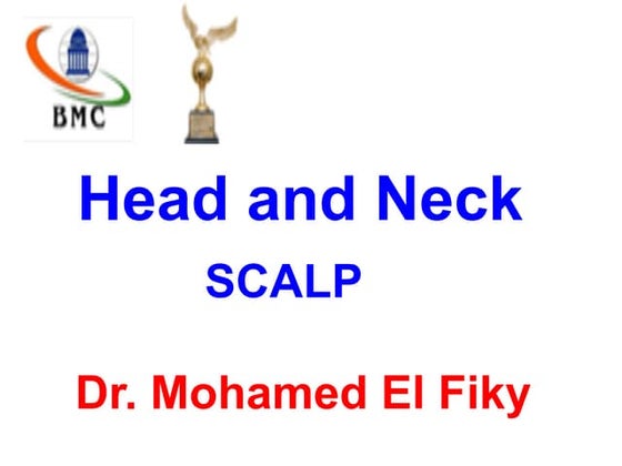 Scalp | PPT