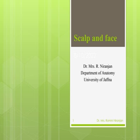 Scalp : Nerve & Blood Supply . | PPTX