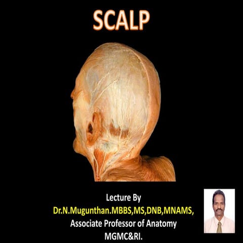 Anatomy of scalp | PPTX