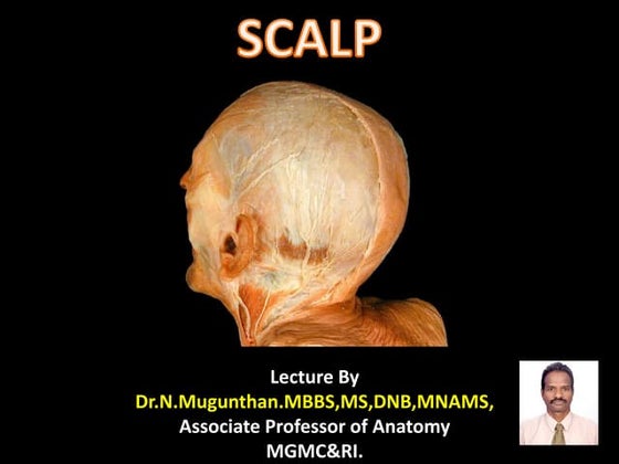 scalp anatomy -layers and applied aspects | PPTX