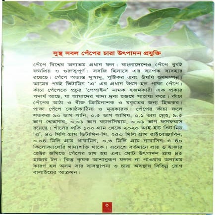Banaja Certificate | PDF