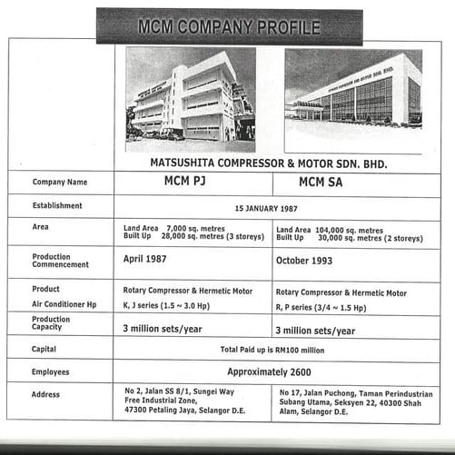 MCM COMPANY PROFILE | PDF