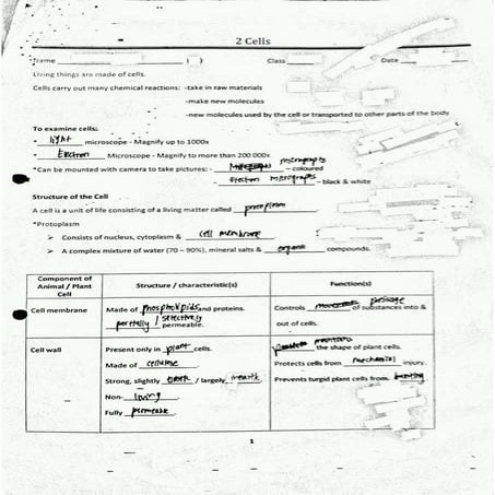 summary on cells | PDF