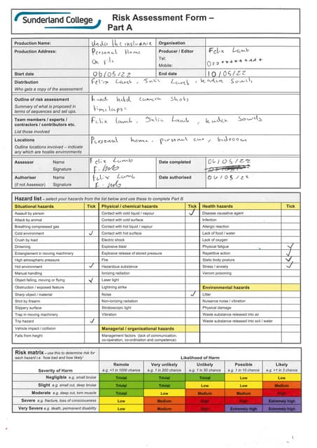 Risk Assessment | PDF