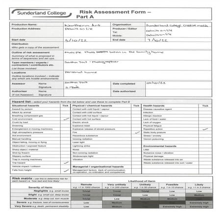 Risk Assessment | PDF
