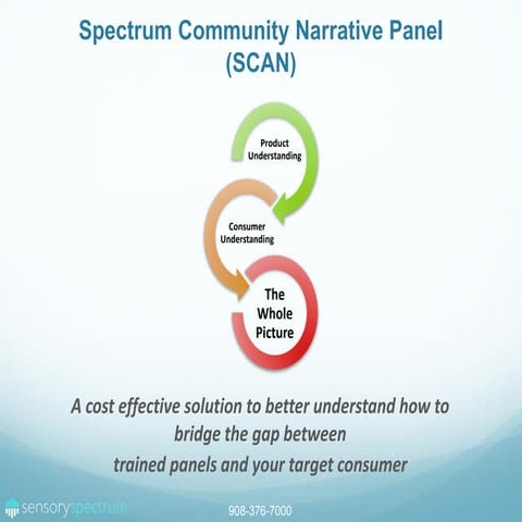 Scan Community Narrative To Understand Your Consumer | PDF