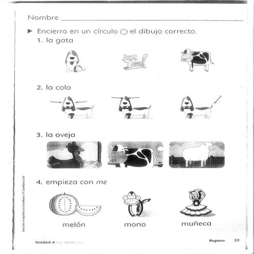 Family tree project_and_rubric_5th_grade | PDF