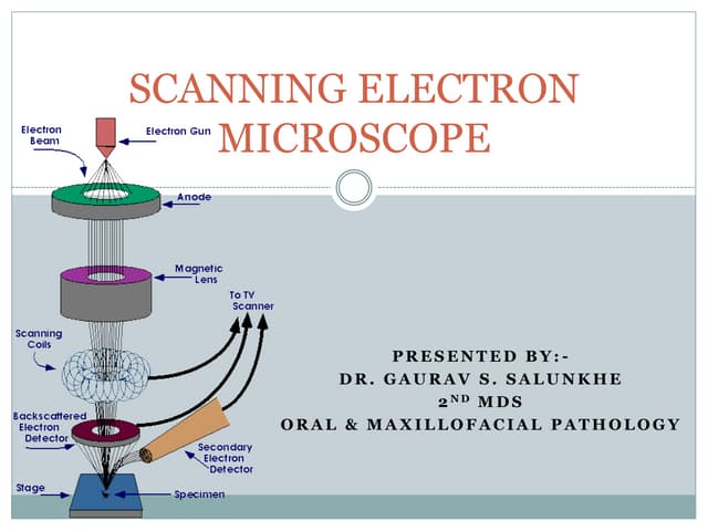 Electron microscope ppt | PPTX | Physics | Science