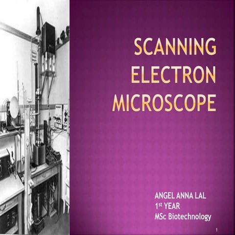 Scanning electron microscope | PPTX | Chemistry | Science
