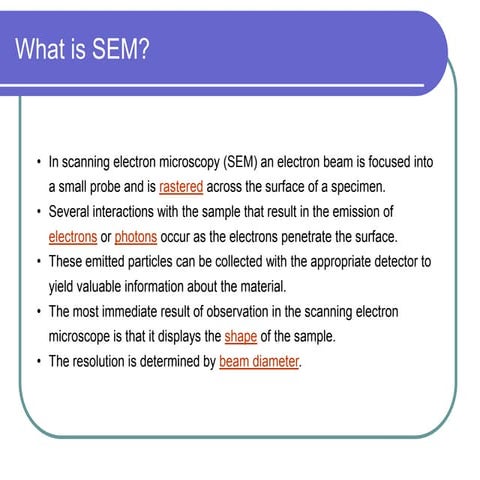 SEM & TEM | PDF