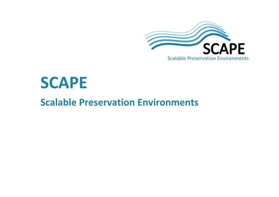 Scape Project, Digital preservation