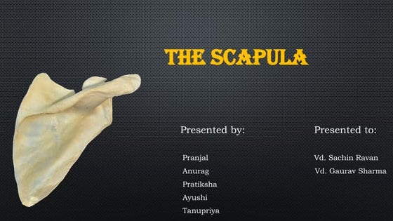 Anatomy of scapula | PPTX