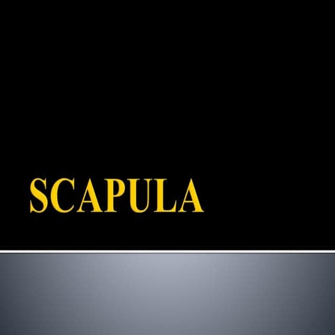 Osteology of Scapula | PPTX