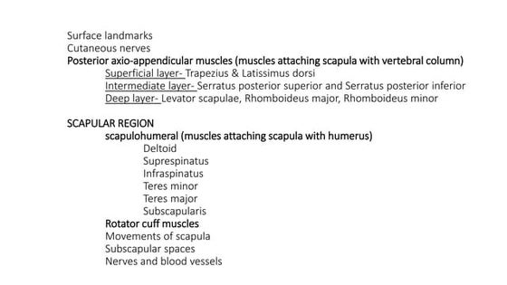 ANATOMICAL SNUFF BOX.pptx
