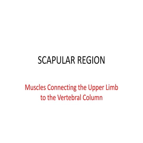 Muscles of the scapular region | PPTX