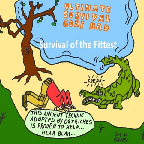 Scarcity activity | PPT