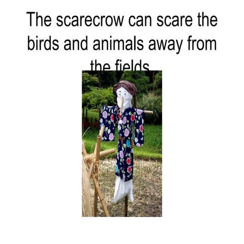 Scarecrows | PPT