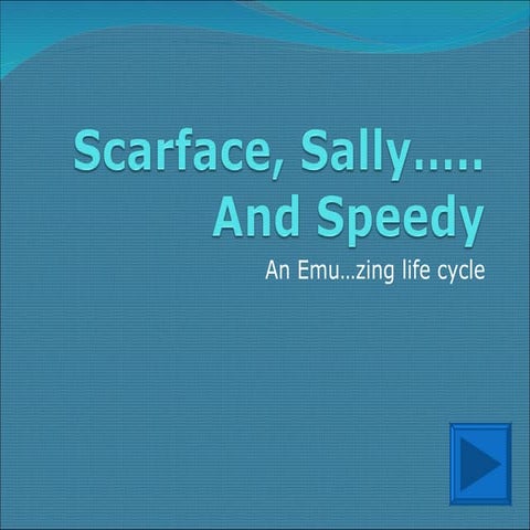 Scarface, sally | PPT