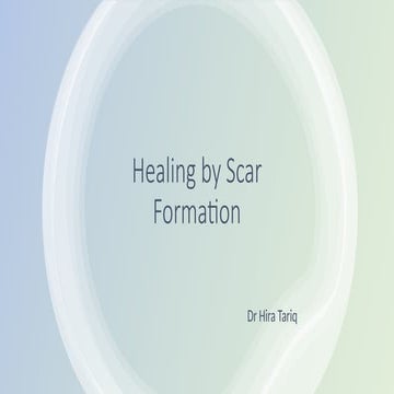 Presentation on Scar Formation in the process of wound healing | PPT