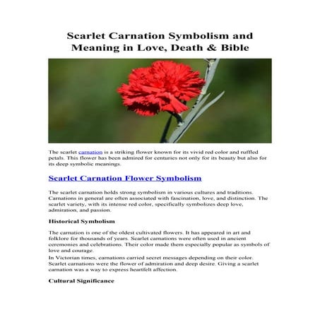 Scarlet Carnation Symbolism and Meaning in Love, Death & Bible.docx