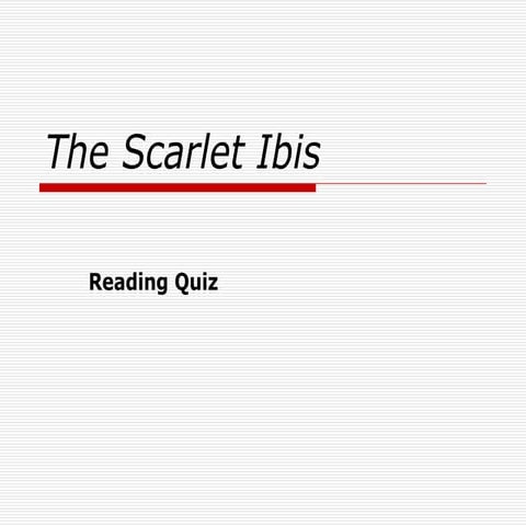 Race scarlet ibis graphic organizer | DOCX