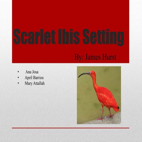 Scarlet ibis setting Ana,Mary,April | PPT