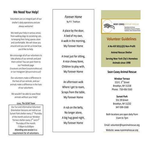 SUNSET PARK VOLUNTEER GUIDELINES | PDF