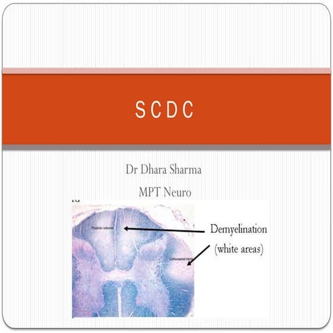 Subacute Combined Degenerative Spinal Cord Disorder | PPTX