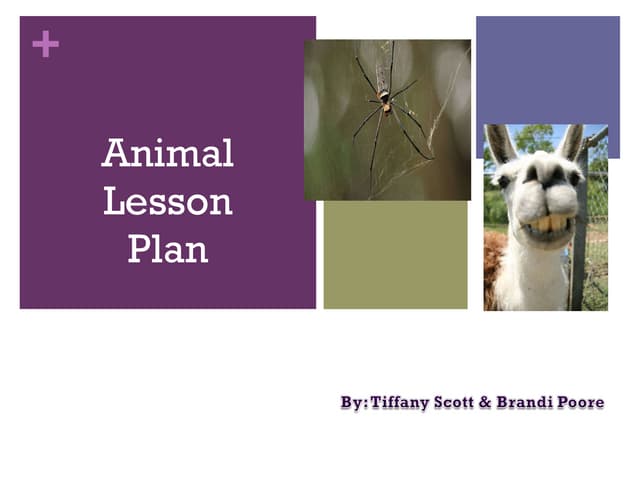Living Things and their Environment | PDF