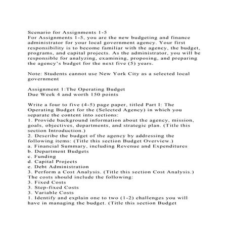 Scenario for Assignments 1-5For Assignments 1-5, you are the new.docx | Business Accounting ...