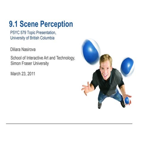 Scene perception | PDF