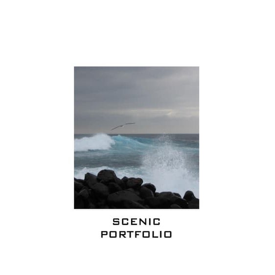 Scenic Portfolio | PDF