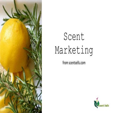 Scent Marketing by Scent Sells | PPTX