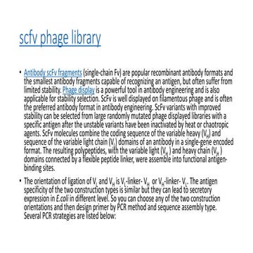 Scfv phage library | PDF