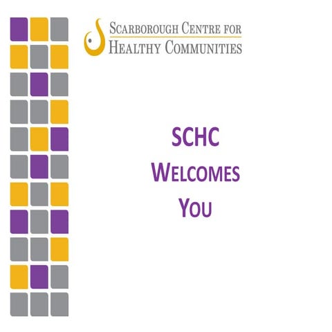 SCHC Overview 2013 | PPT